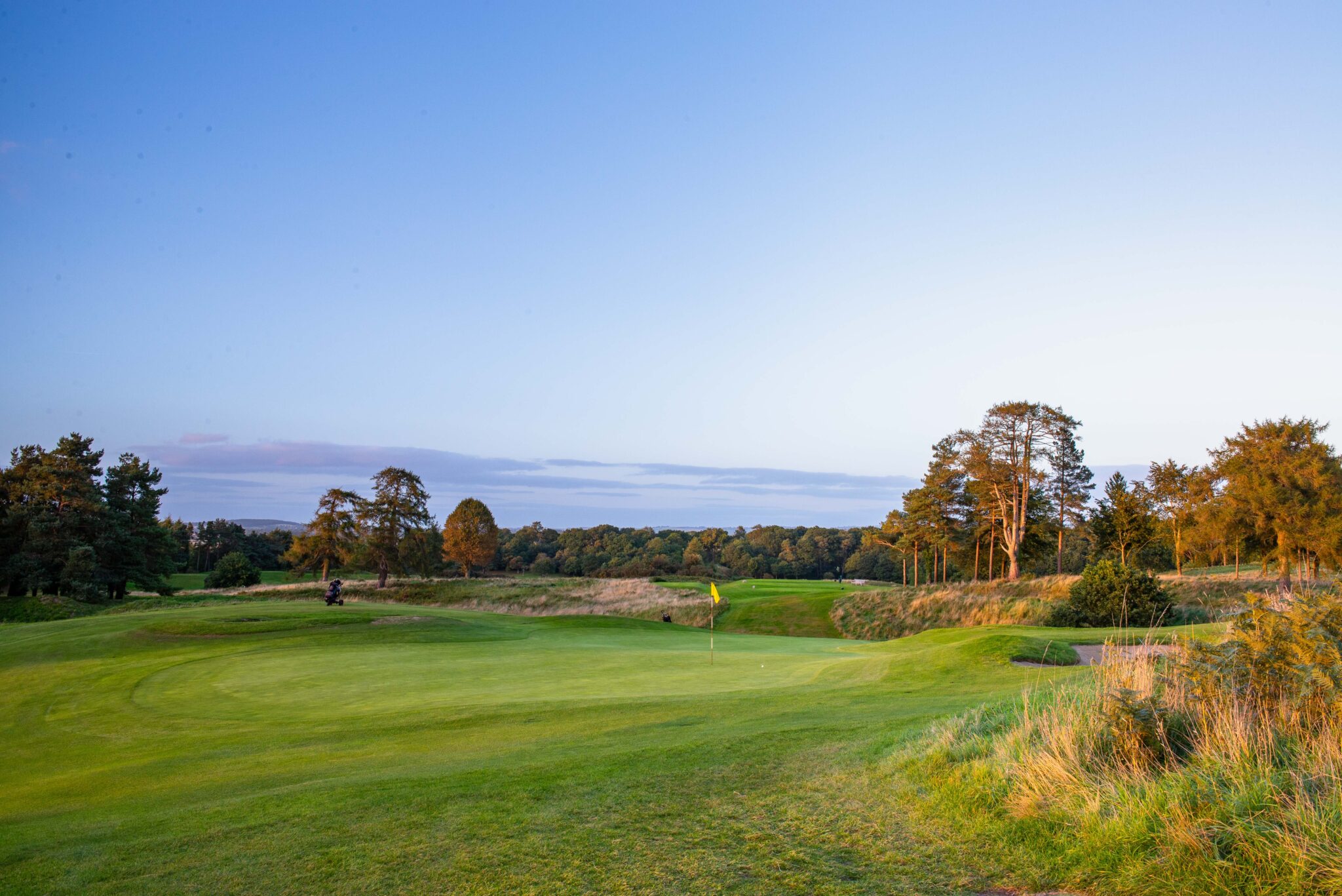 Carlow Golf Club - Seed Golf Club